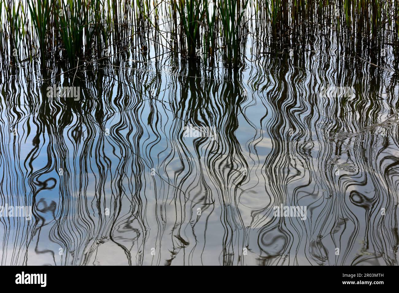 Crazy climate hi-res stock photography and images - Alamy