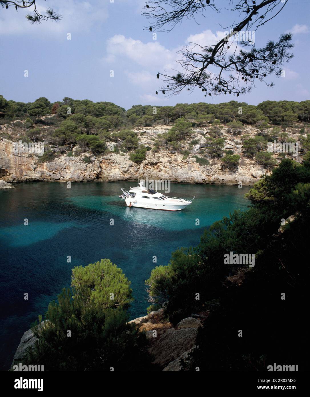 Spanish landscapes mallorca pine hi-res stock photography and images ...