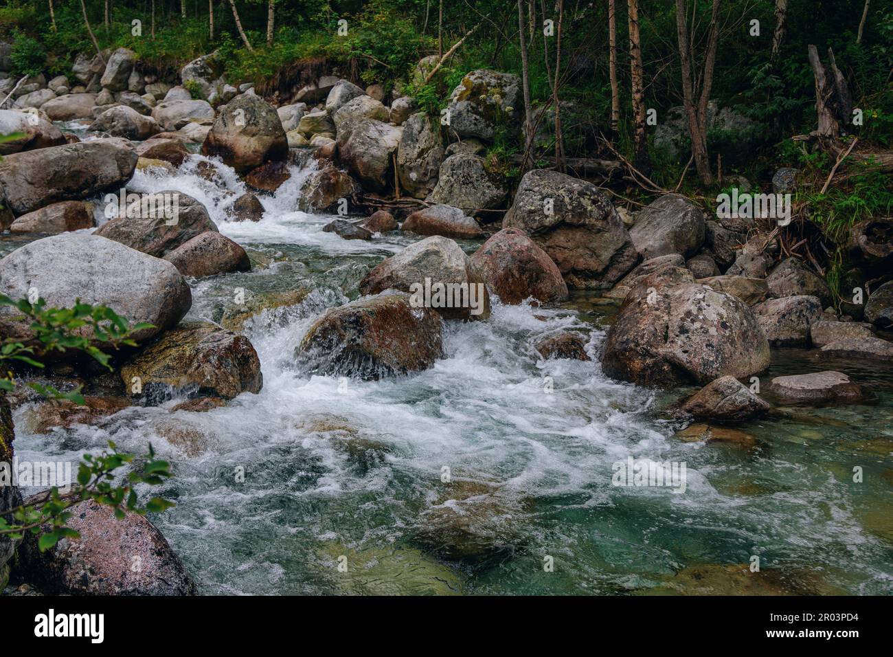 Scenic summer landscape - mountain river in a forest - crystal pure ...