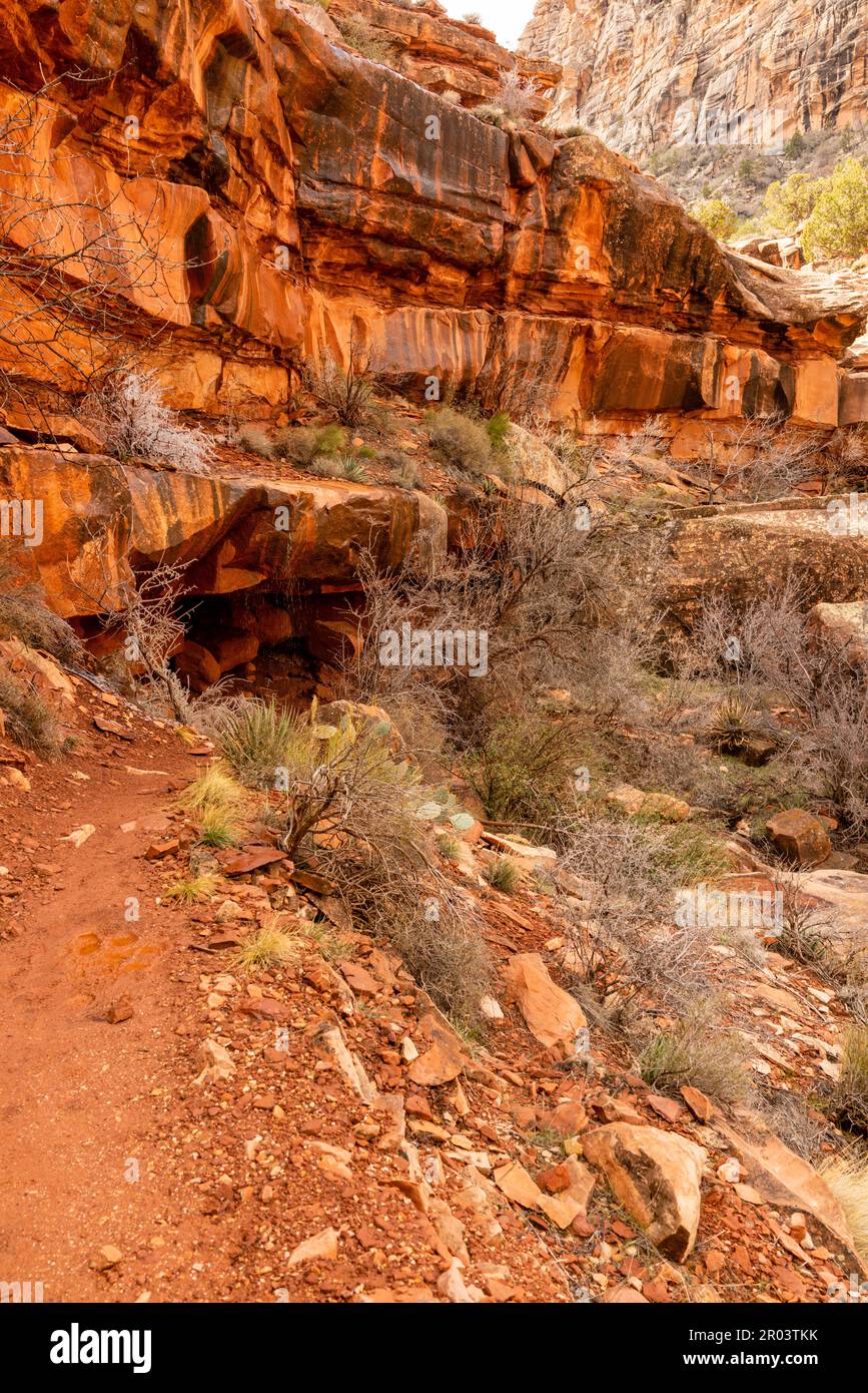 View of frozen drips from Santa Maria Spring, Hermit Canyon. Grand ...