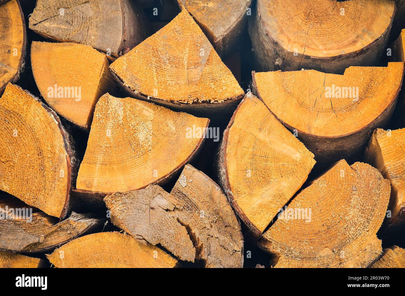 Tree trunks fill the entire frame. Background of dry chopped wood logs ...