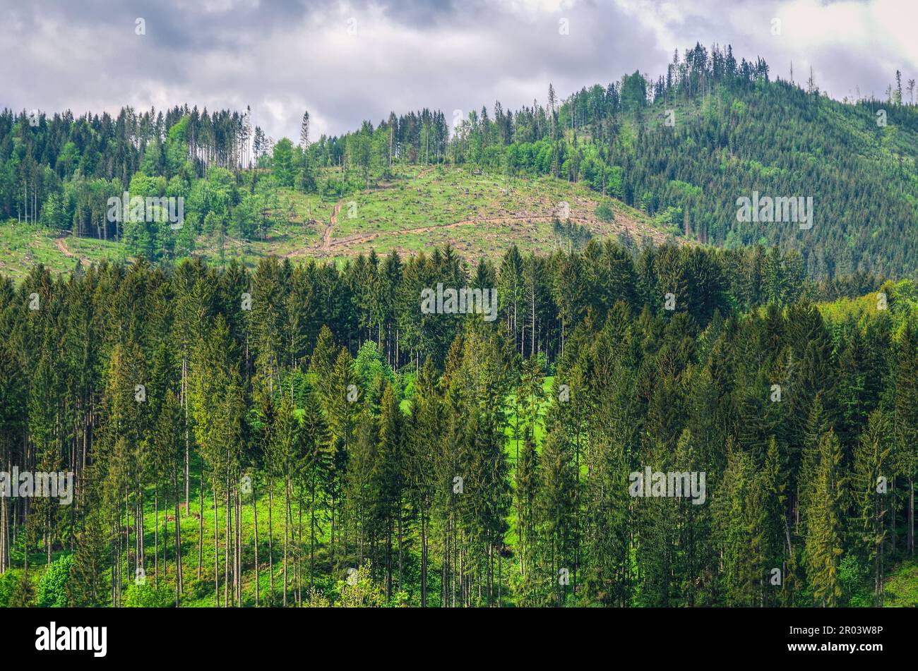 Mountain landscape in spring season. View of wooded hills and slope ...
