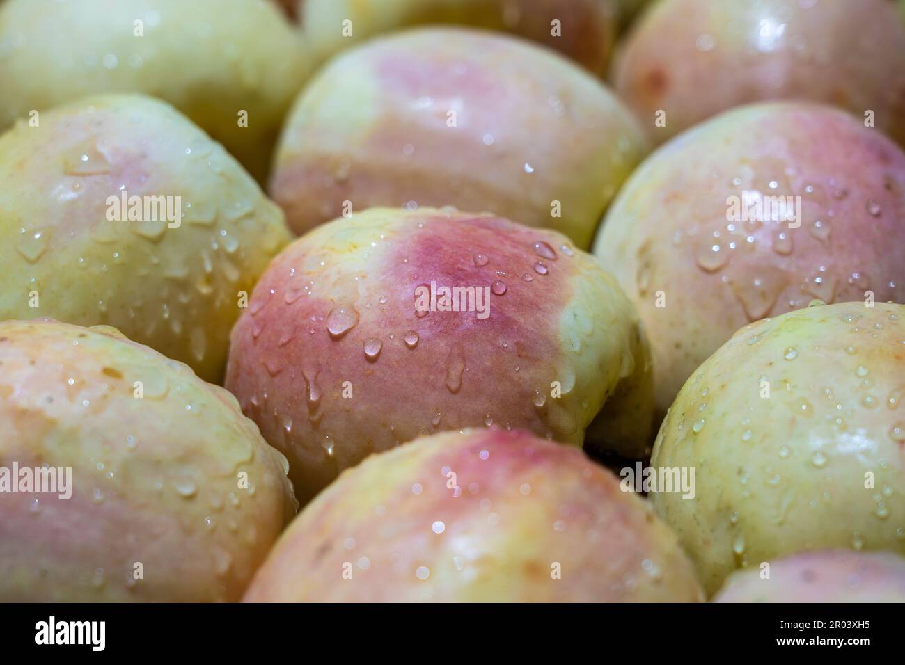 Zanzibar apple hi-res stock photography and images - Alamy