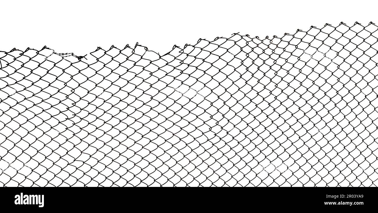 The texture of the metal mesh on a white background. Torn steel, metal ...