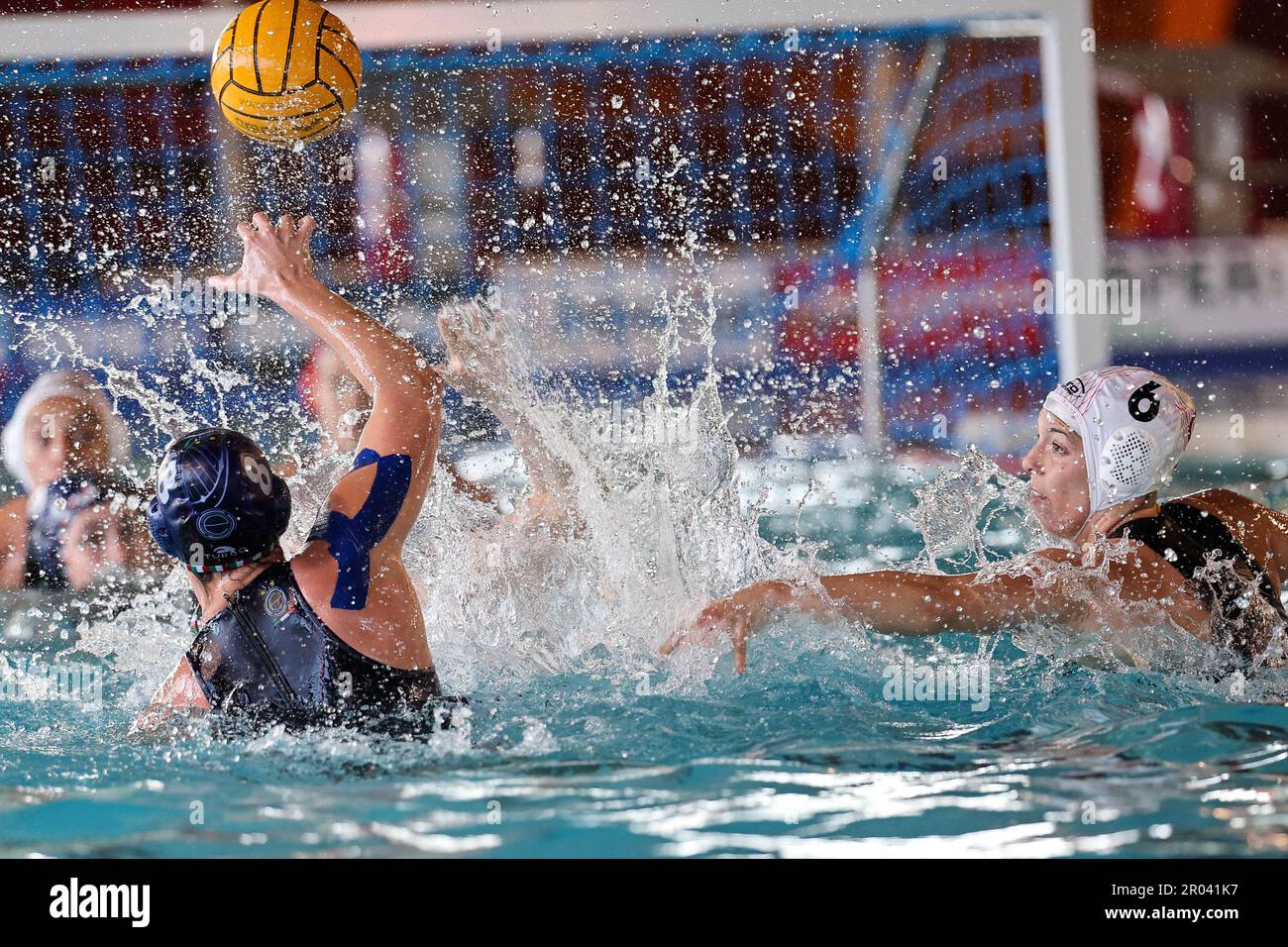 Claudia marletta hi-res stock photography and images - Alamy