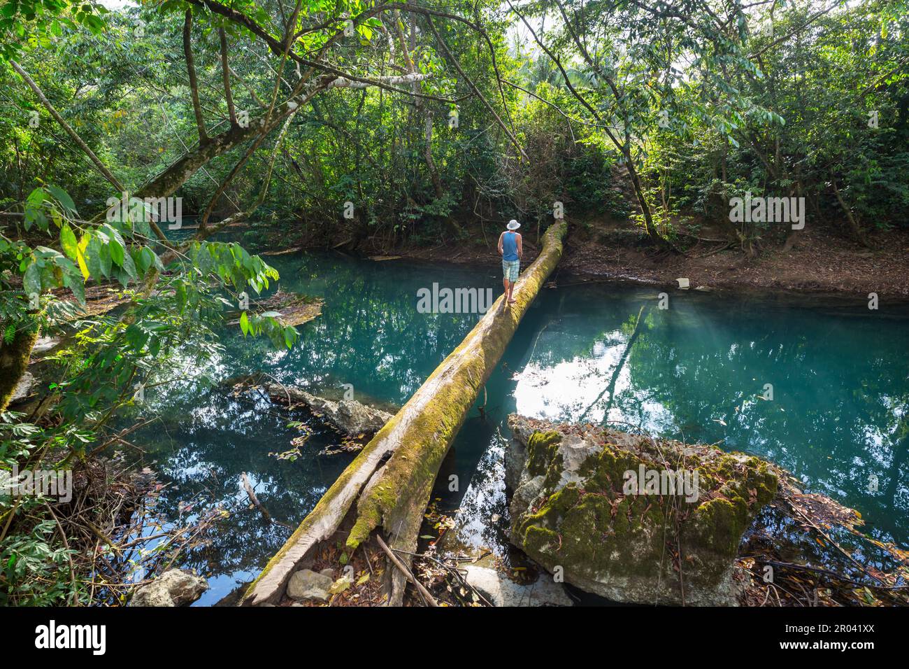 Beautiful tropical landscapes -river in jungle Stock Photo - Alamy