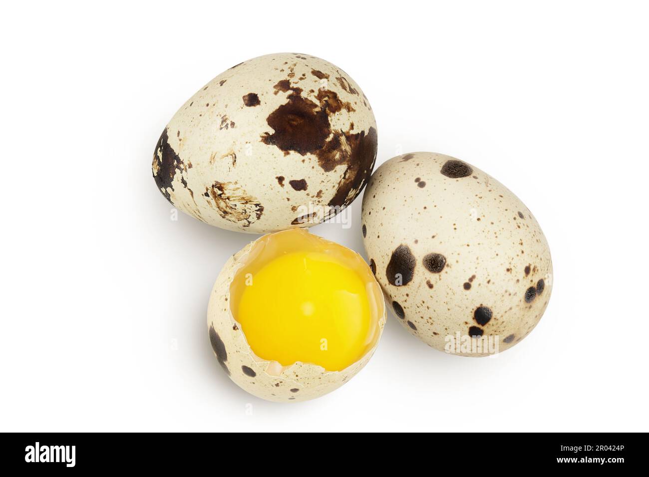 Raw quail egg isolated on white background with full depth of field ...
