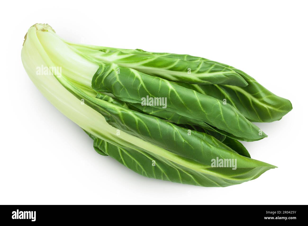 Organic fresh chard plant isolated on white background with full depth ...