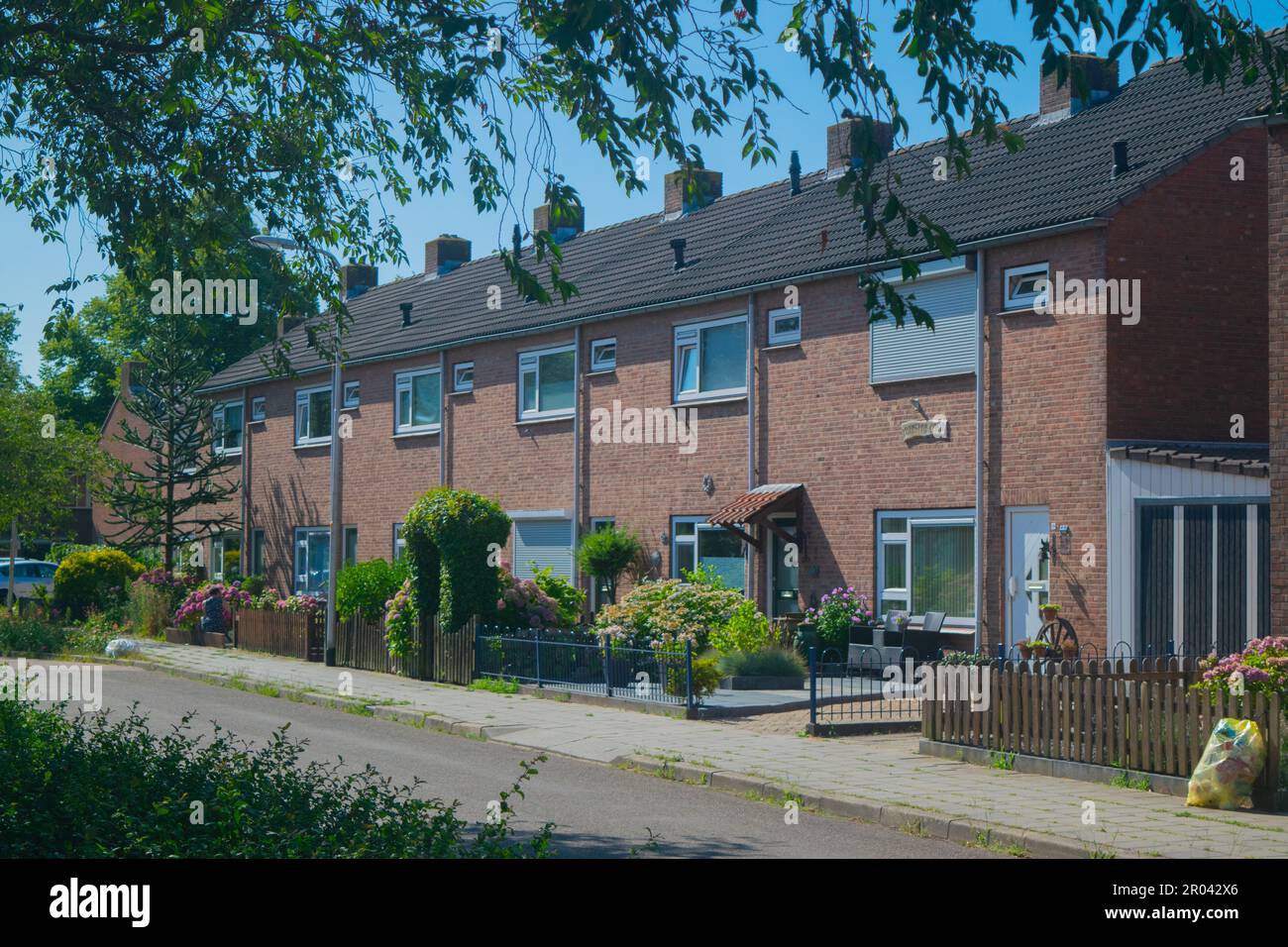 row of typical Dutch terraced houses next to each other Stock Photo - Alamy