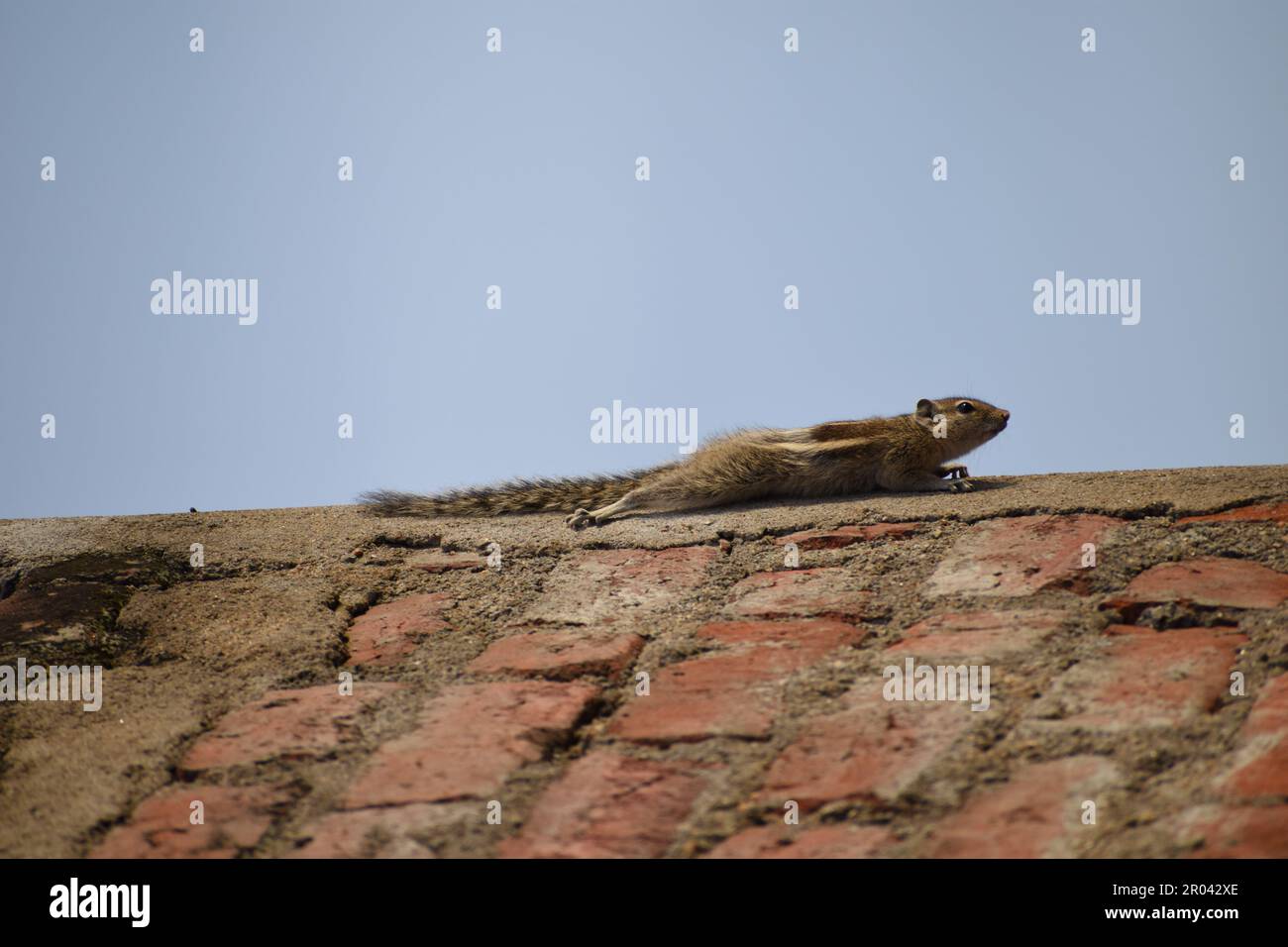 Nature is strong elements that make our life lovable and hopeful Stock ...