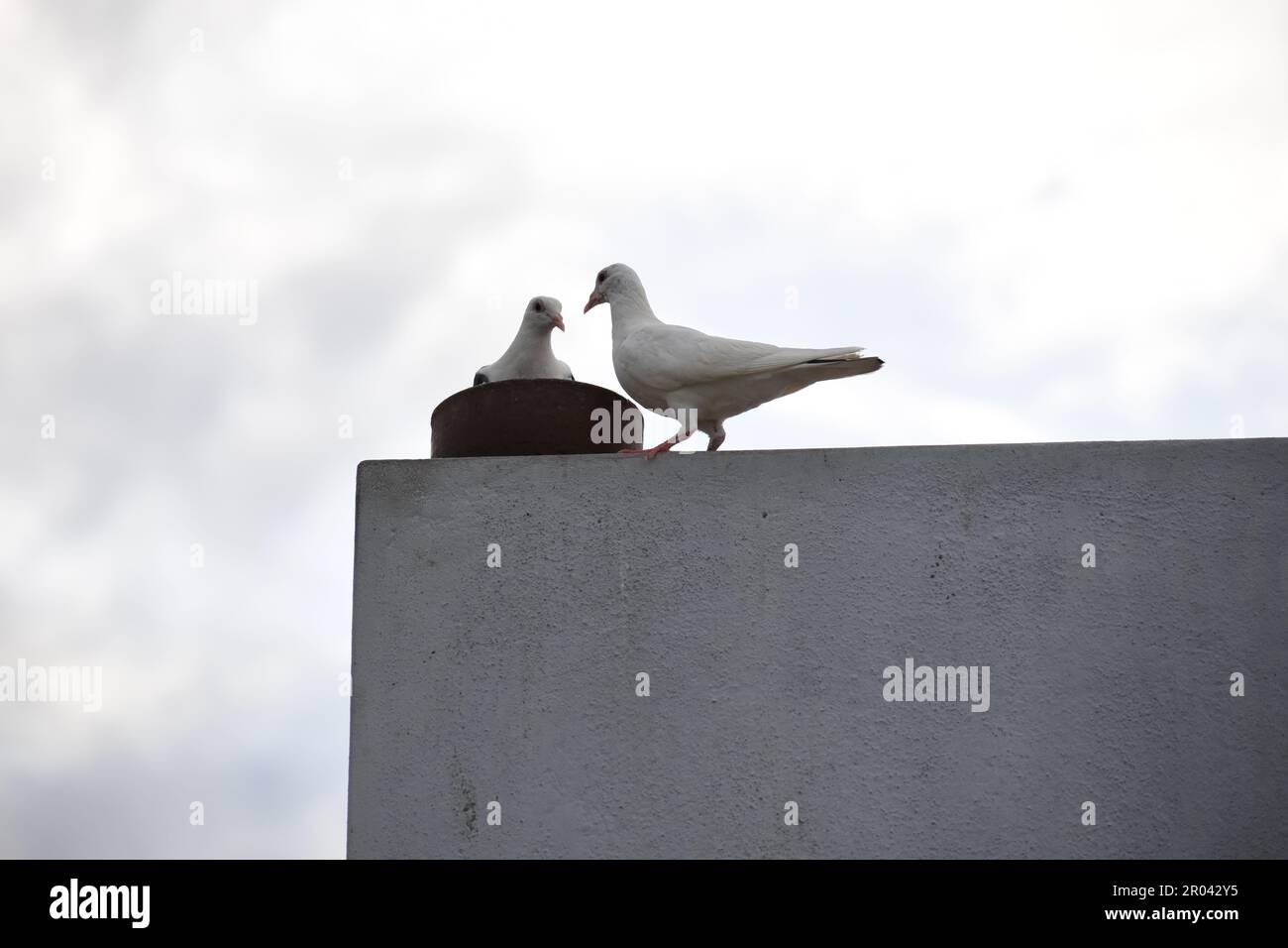 Nature is strong elements that make our life lovable and hopeful Stock ...