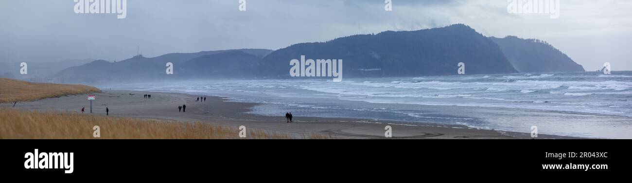 Gearhardt, Oregon, USA - 11/07/2022: Roosevelt Elk herd residing along ...