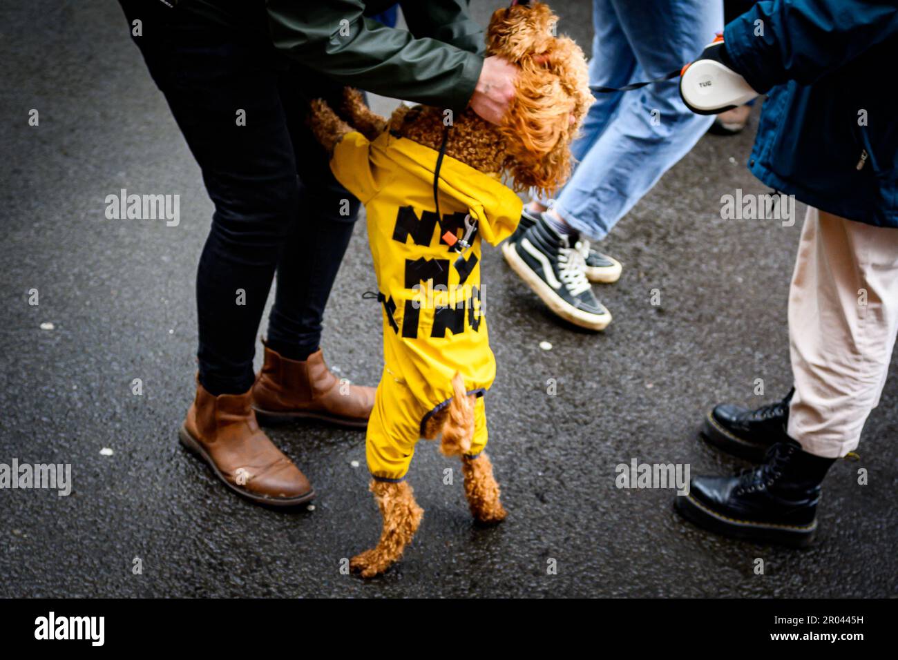 Cardiff, Wales. Sat 6 May 2023. Protesters at the Not My King march in ...