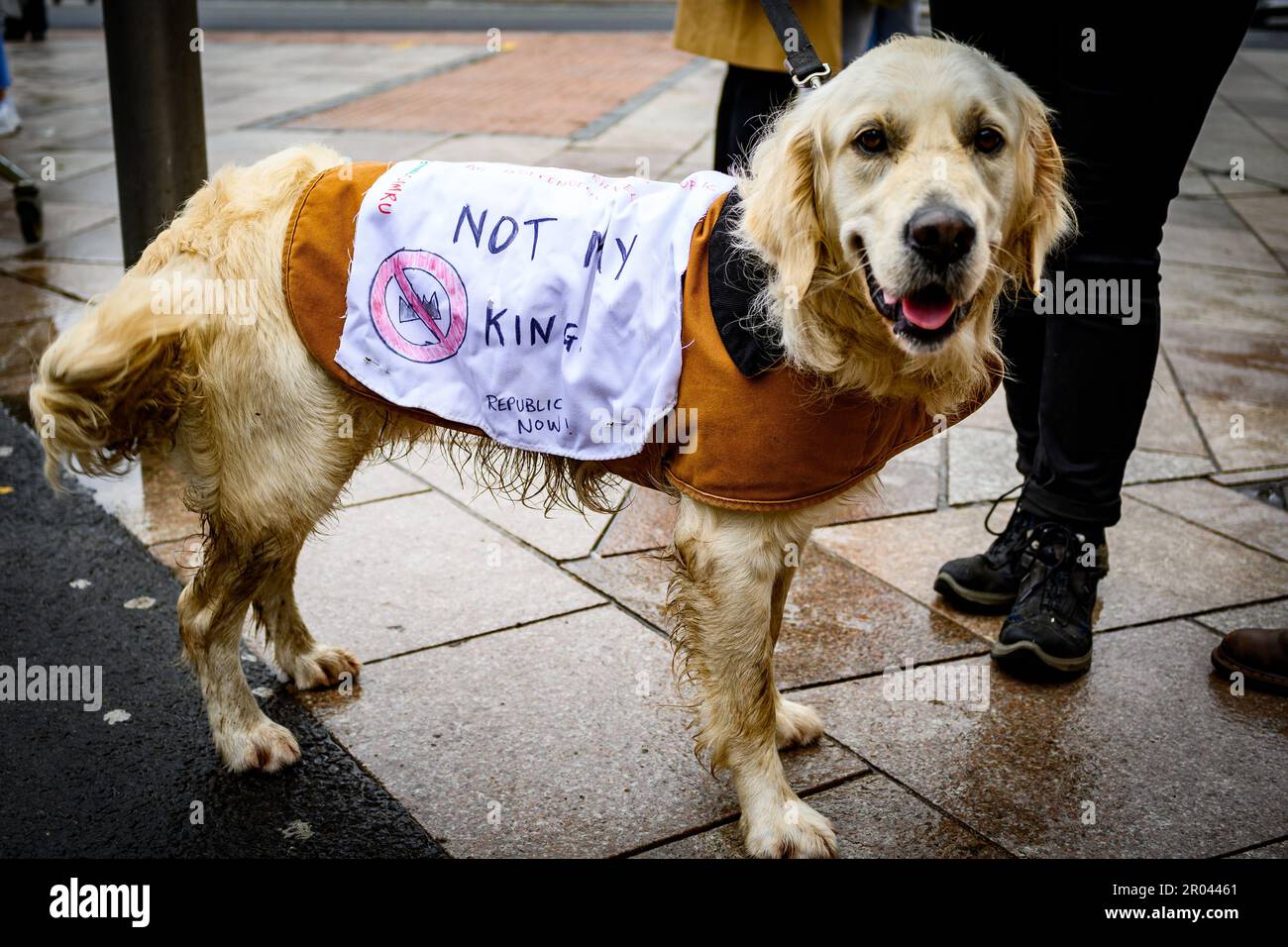 Cardiff, Wales. Sat 6 May 2023. Protesters at the Not My King march in ...