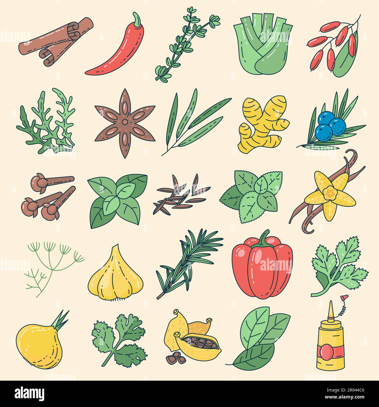 Spices garlic hot chili Stock Vector Images - Alamy