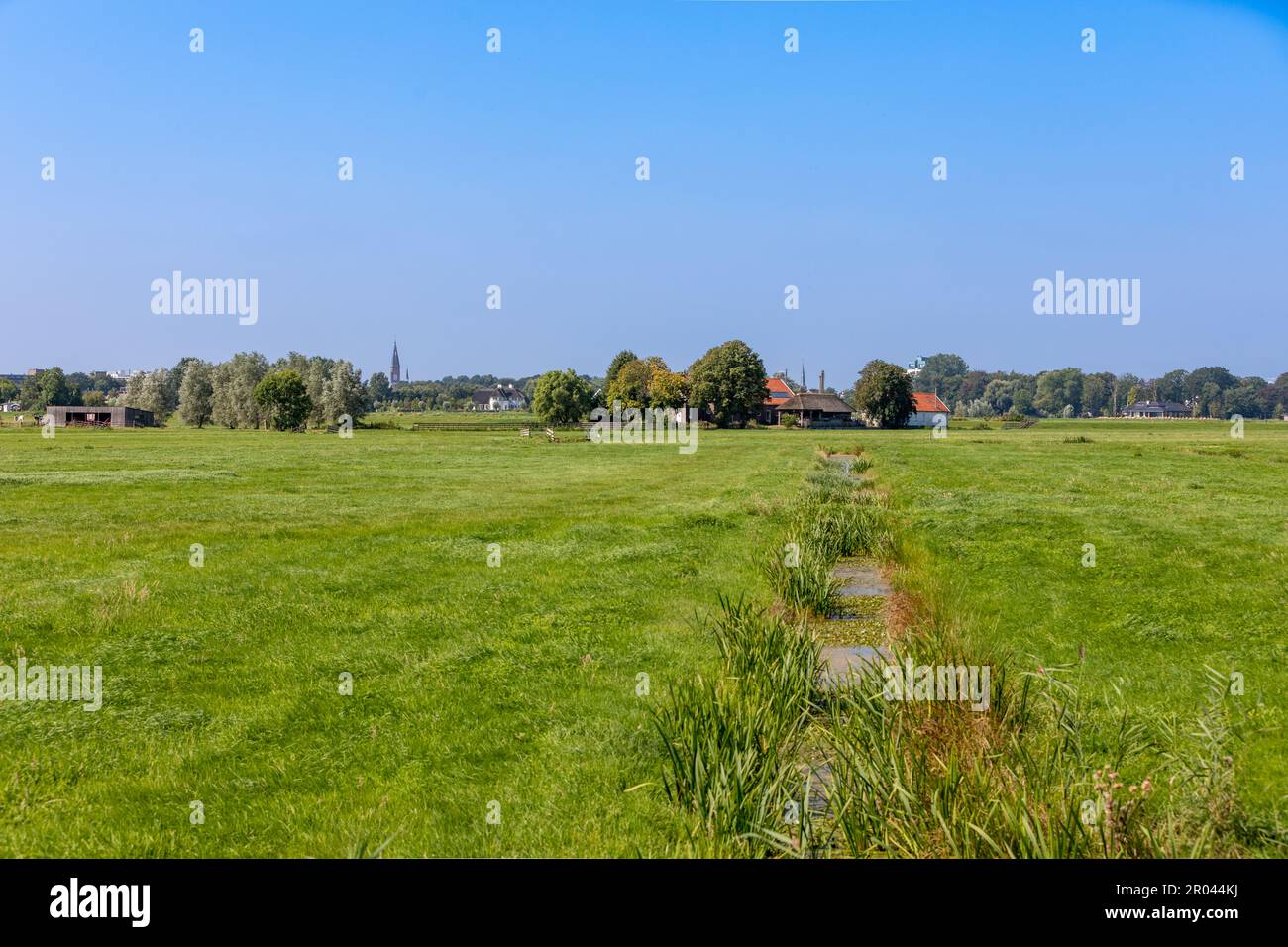 Green meadows and farms in the South Holland village of Sassenheim in ...