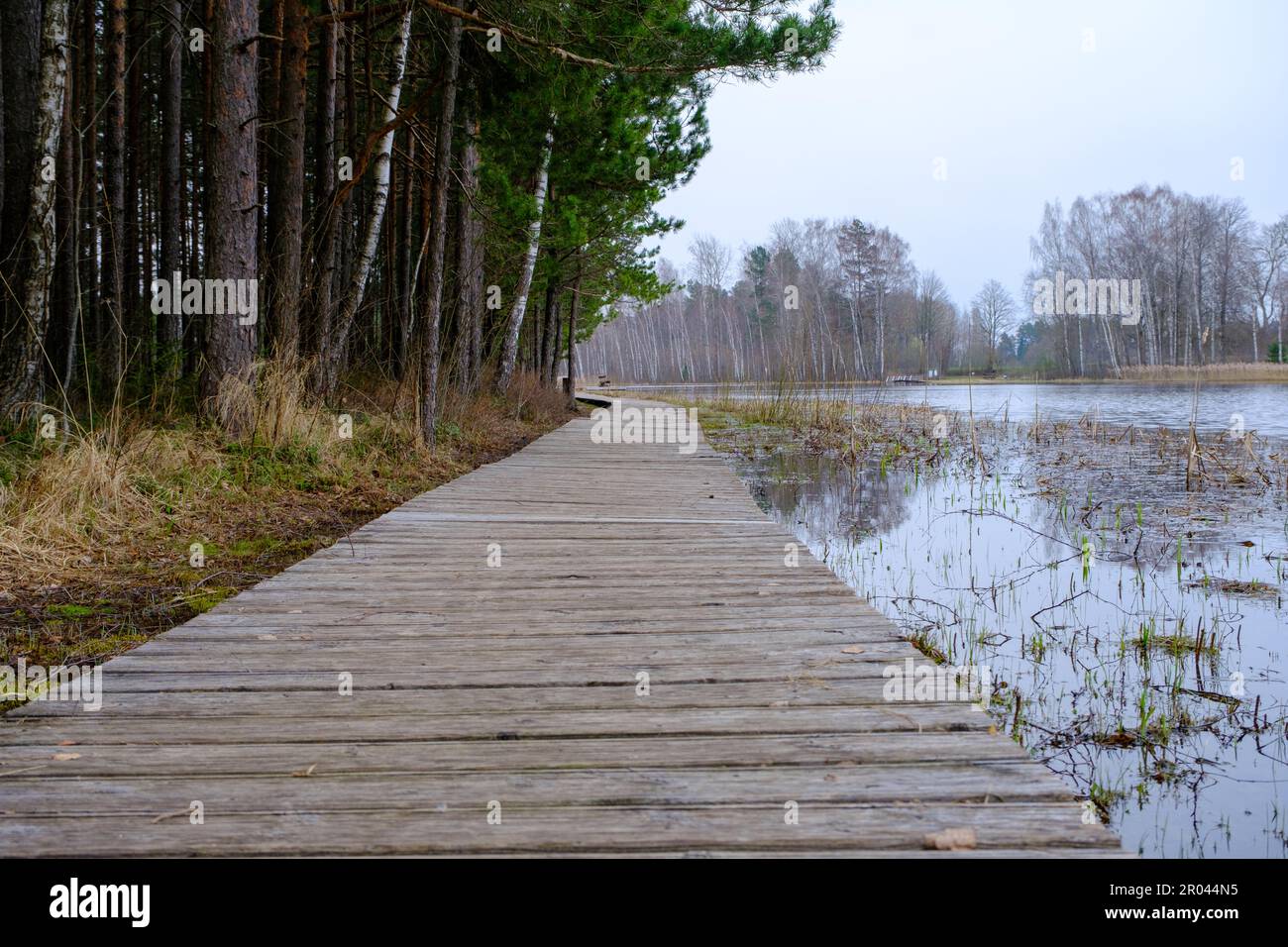 Wooden path along the shore of the lake, plank deck, modern landscape ...