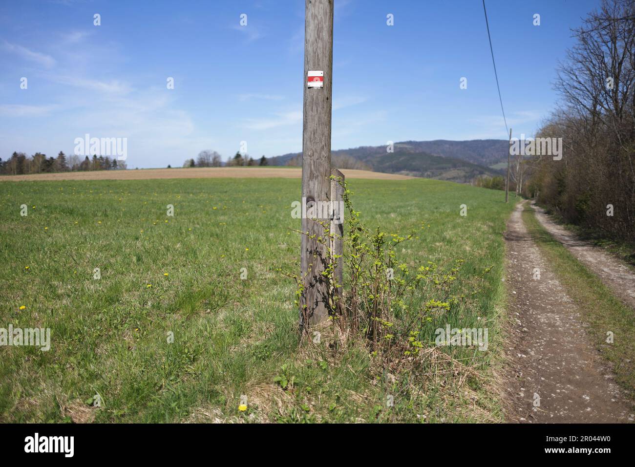 Old and aged rustic wooden electrical utility pole and post in rural ...