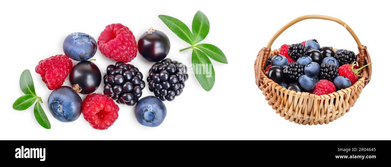 mix of blackberry blueberry raspberry isolated on white background. Top ...