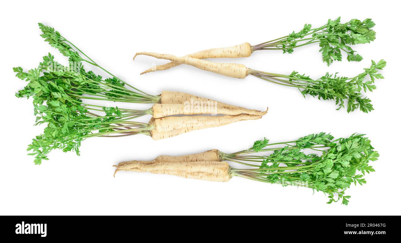Parsley root with leaves isolated on white background Stock Photo - Alamy