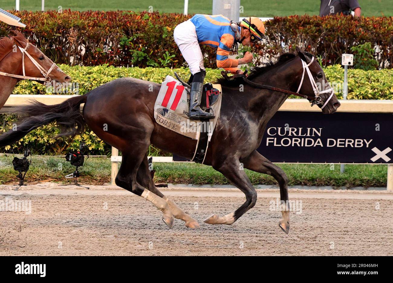 HALLANDALE, FLORIDA - APRIL 01: Forte #11, ridden by Irad Ortiz Jr ... HALLANDALE, FLORIDA - APRIL 01: Forte #11, ridden by Irad Ortiz Jr ...