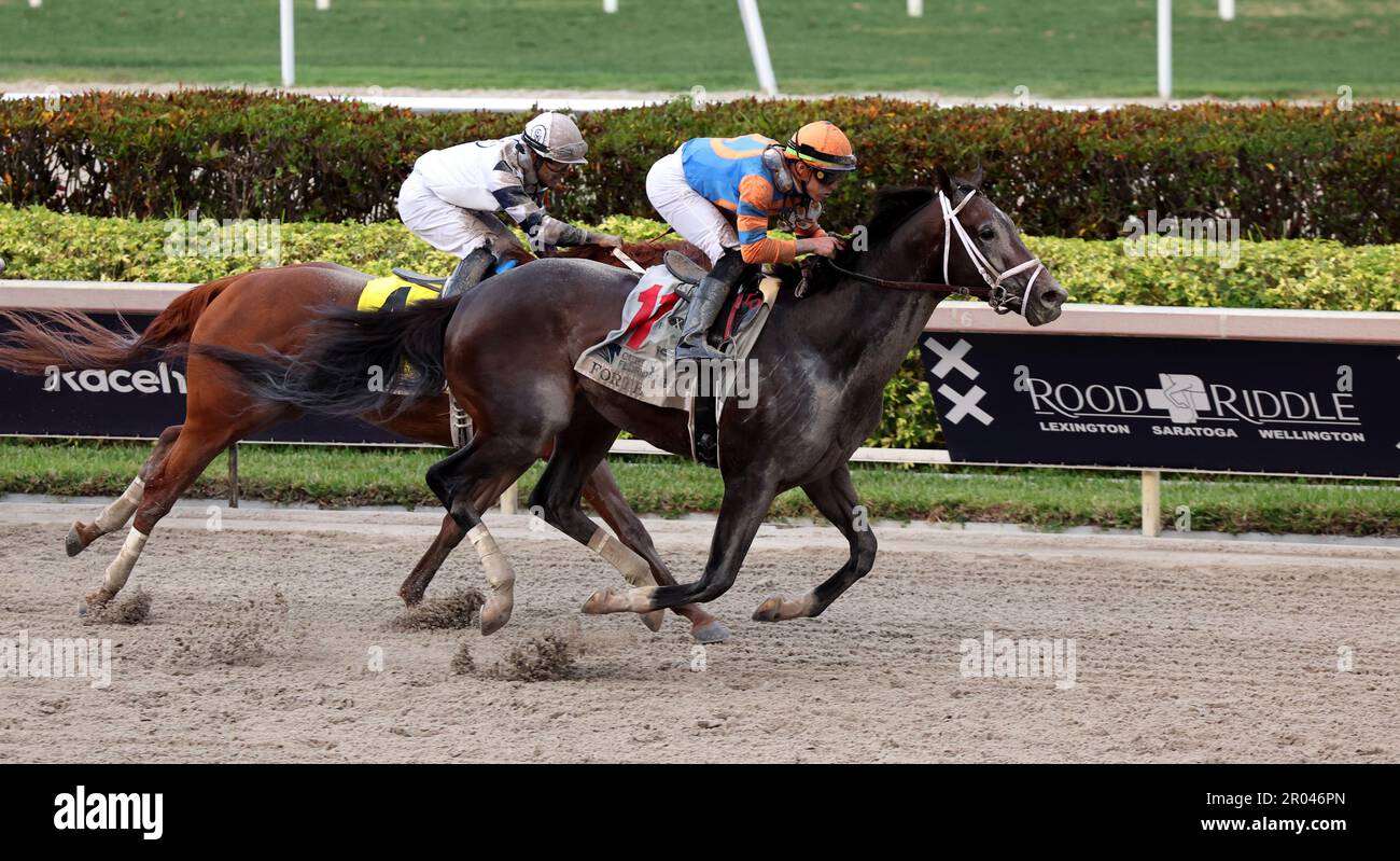 HALLANDALE, FLORIDA - APRIL 01: Forte #11, ridden by Irad Ortiz Jr ... HALLANDALE, FLORIDA - APRIL 01: Forte #11, ridden by Irad Ortiz Jr ...