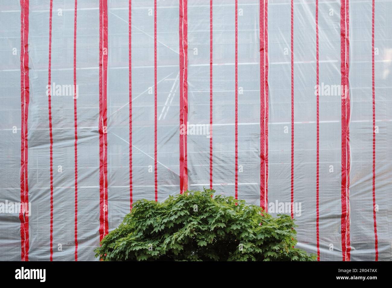 Front exterior view of net wrap scaffolding in front of building at ...