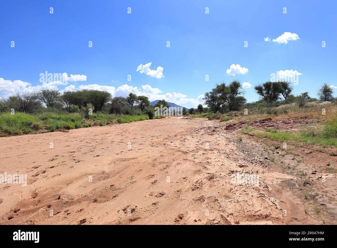 River bed dry hi-res stock photography and images - Alamy