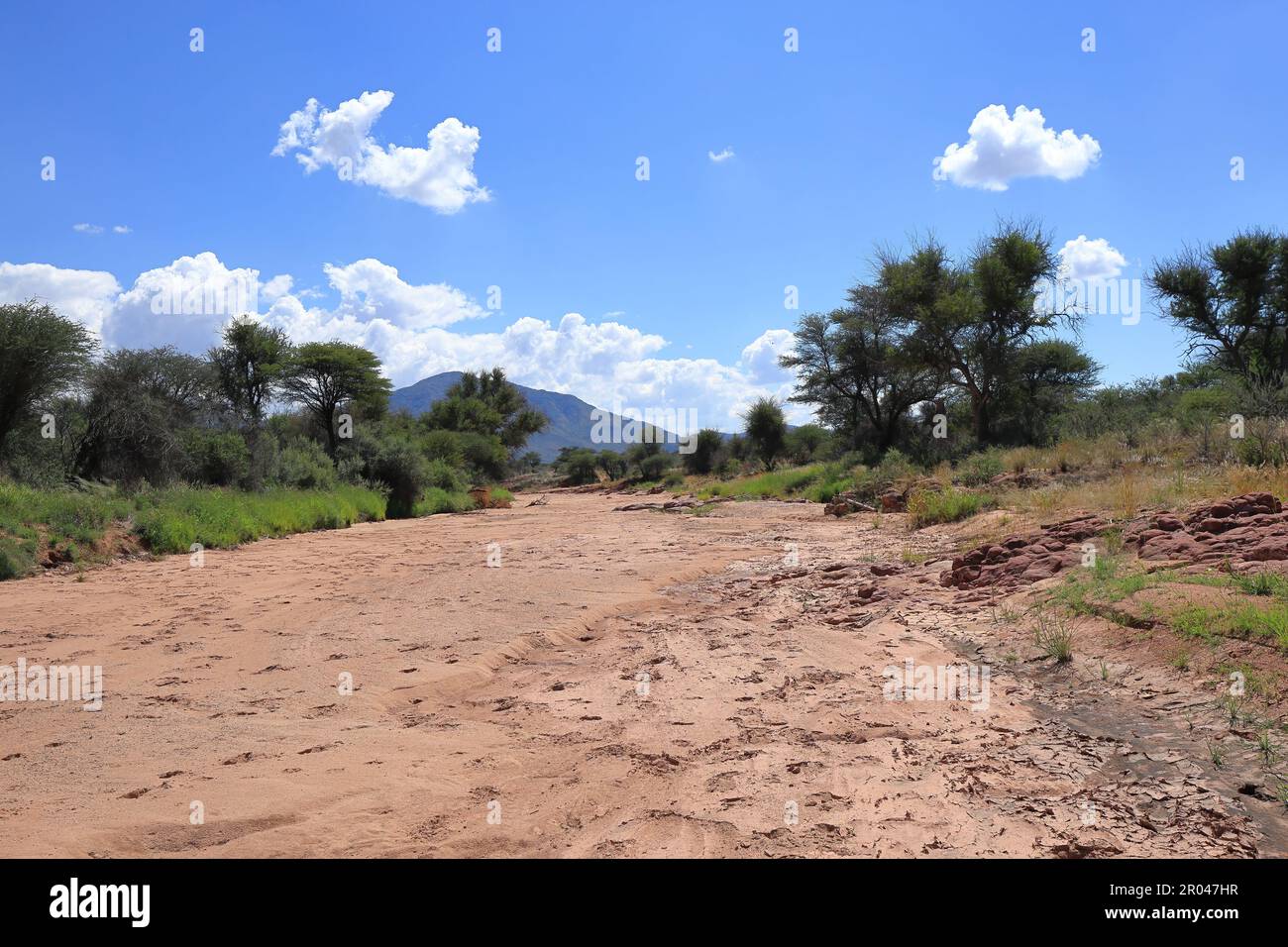 empty river bed in Namibia Stock Photo - Alamy