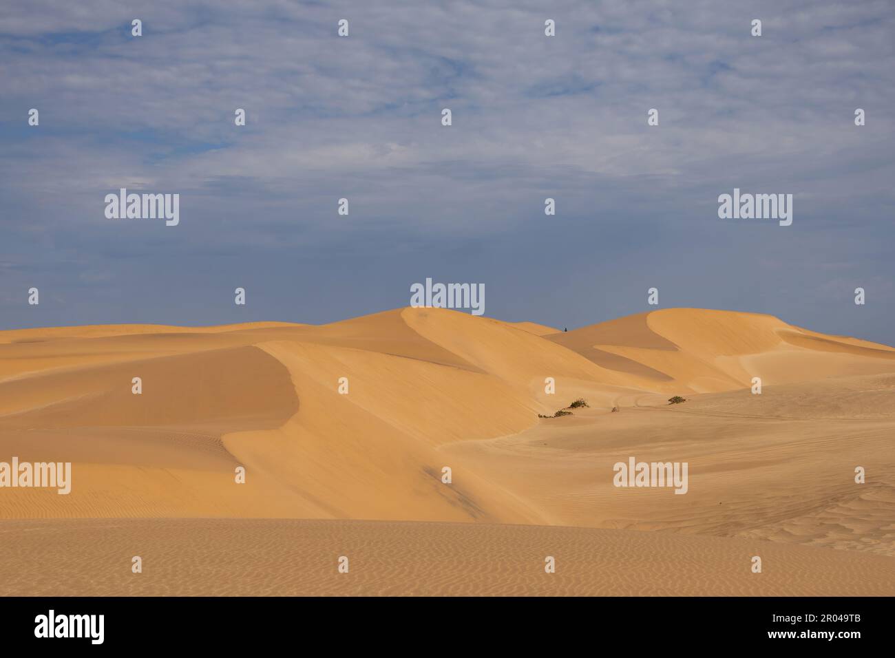 Desert horizon view hi-res stock photography and images - Alamy