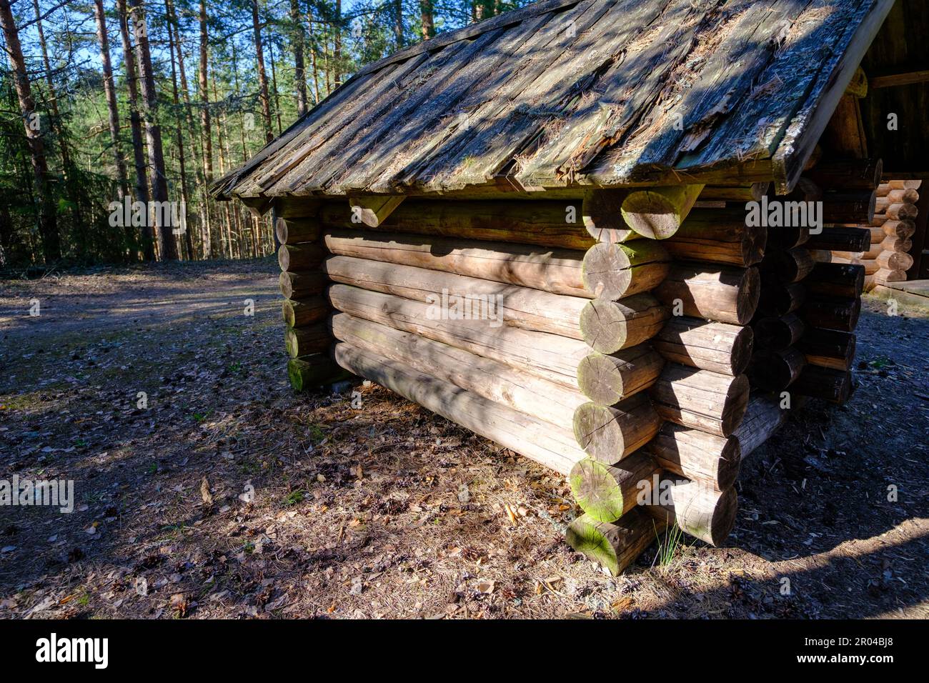 A traditional log cabin is located in an Estonian forest. Old wooden ...