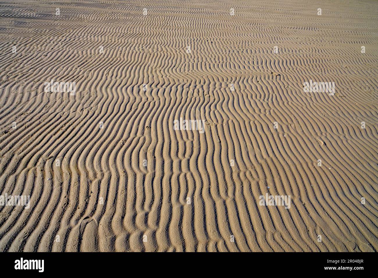 Line wave on sand beach after sea water receded Stock Photo - Alamy