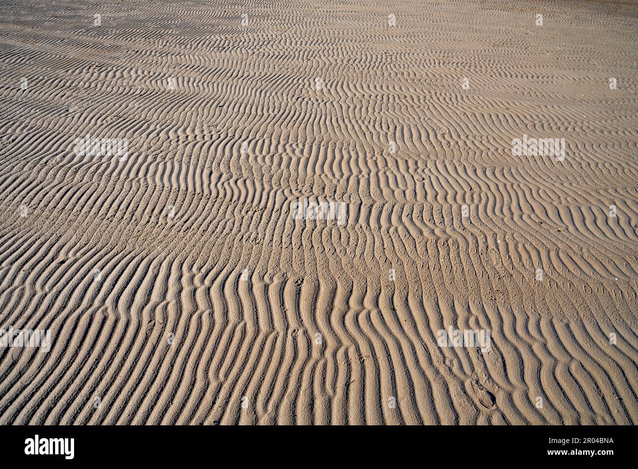 Line wave on sand beach after sea water receded Stock Photo - Alamy