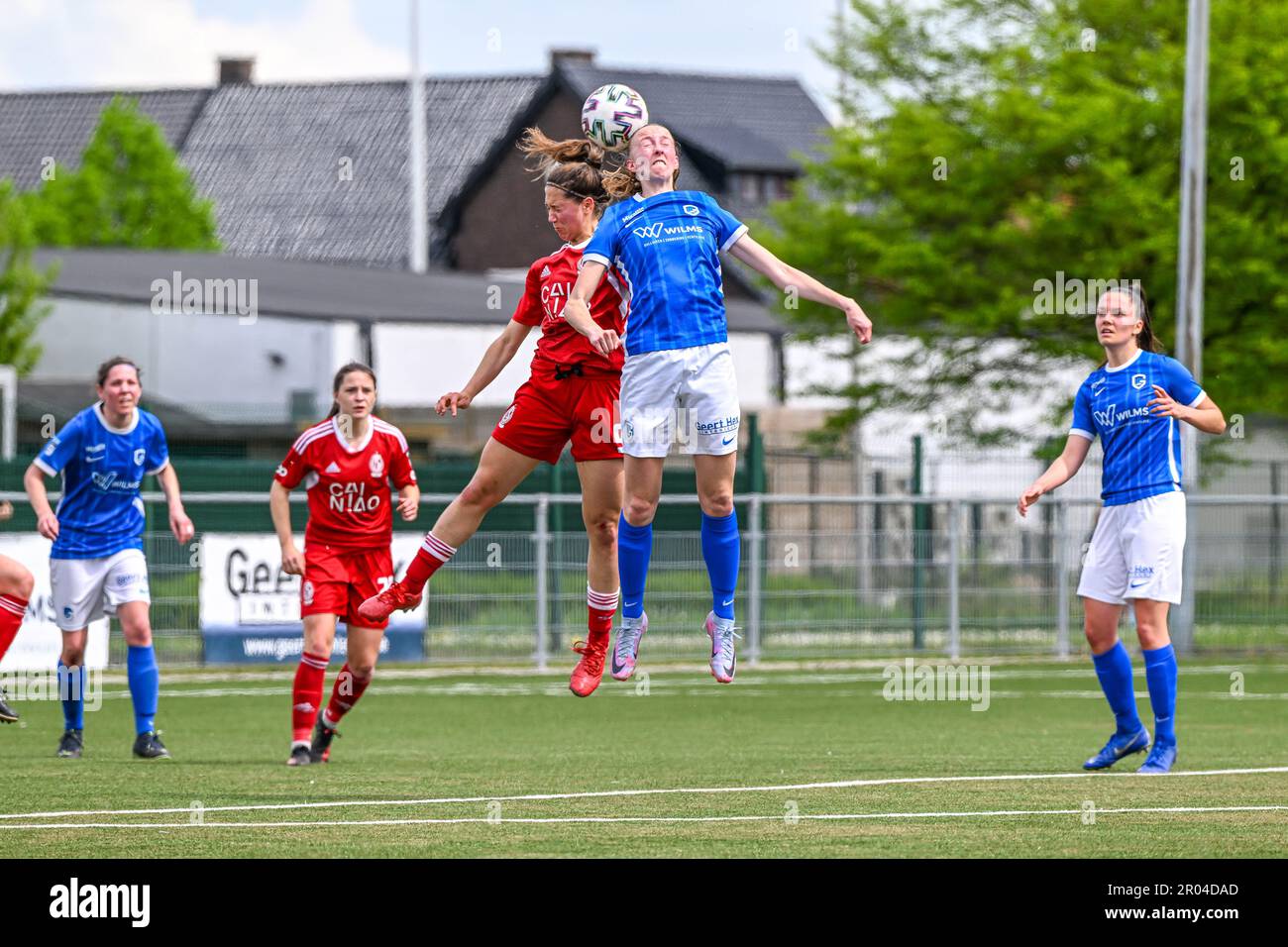 Laura Miller (9) of Standard and Lisa Petry (9) of Genk pictured during ...