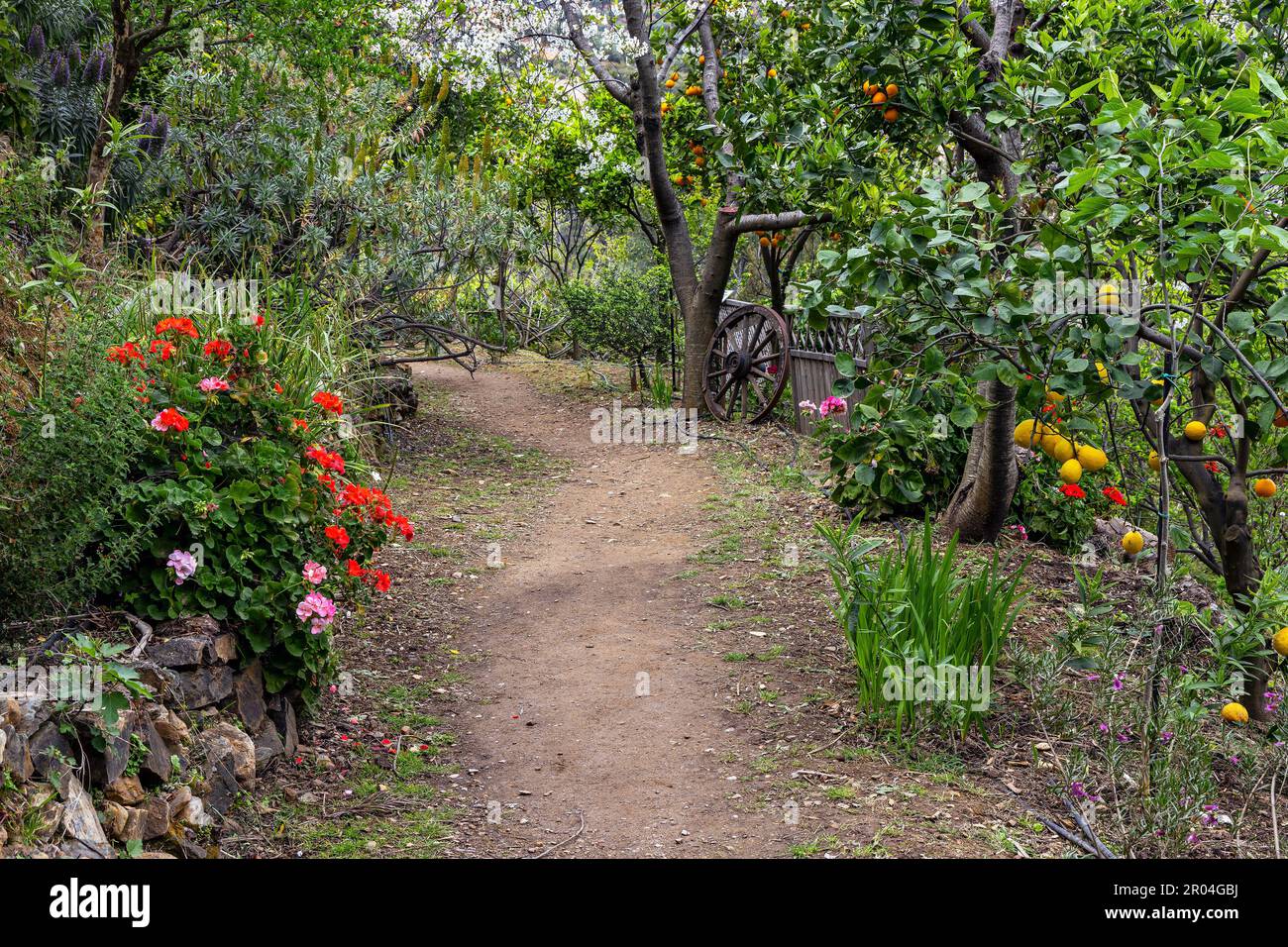 Garden path with flowers and fruit trees at Botanical Park and Gardens ...