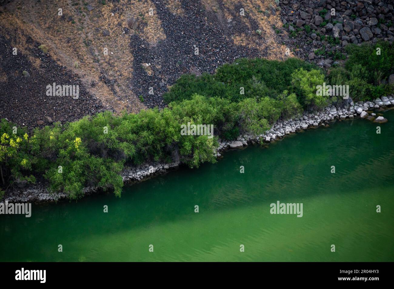 Brilliant Green Color Of The Snake River In Twin Falls, Idaho Stock ...