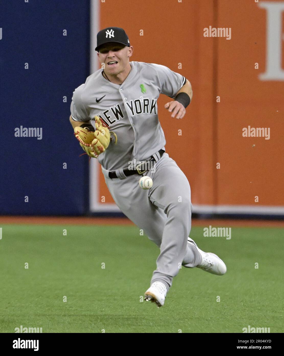 St Petersburg, USA. 06th May, 2023. New York Yankees outfielder Jake ...