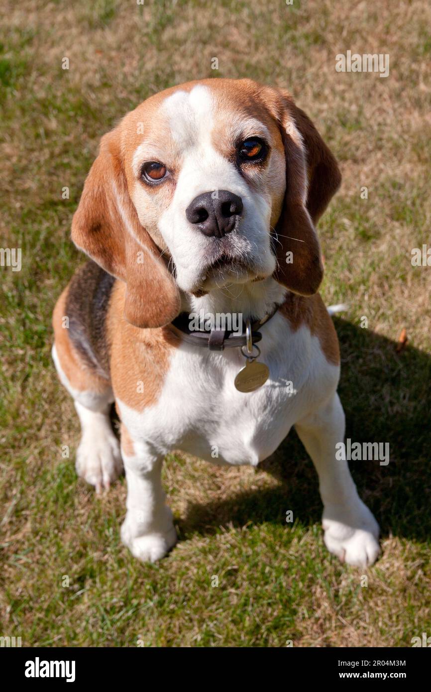 Young adult outdoors hi-res stock photography and images - Alamy