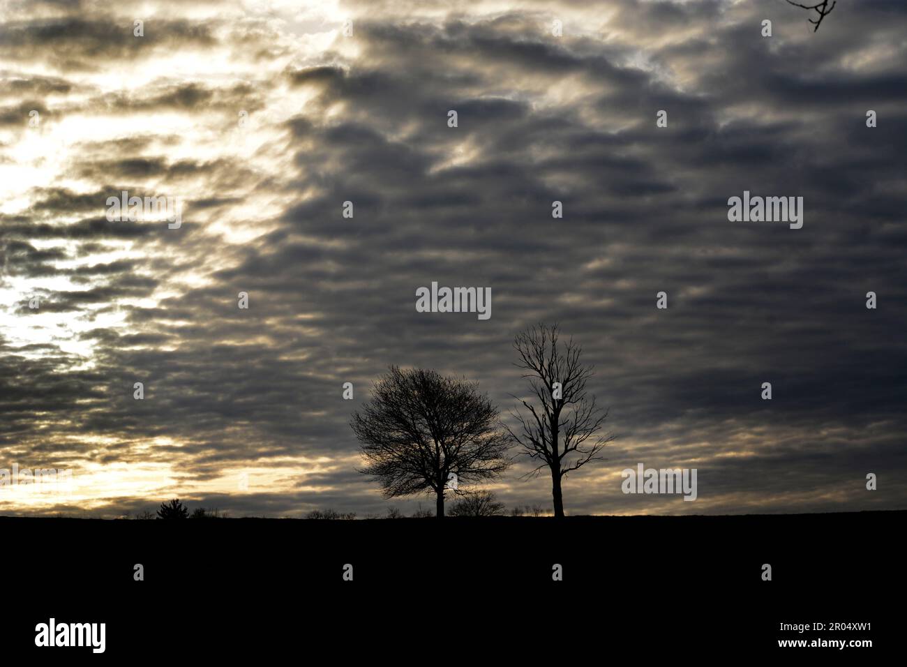 Trees silouetted agains a cold winter sky in Abingdon, Virginia Stock Photo - Alamy