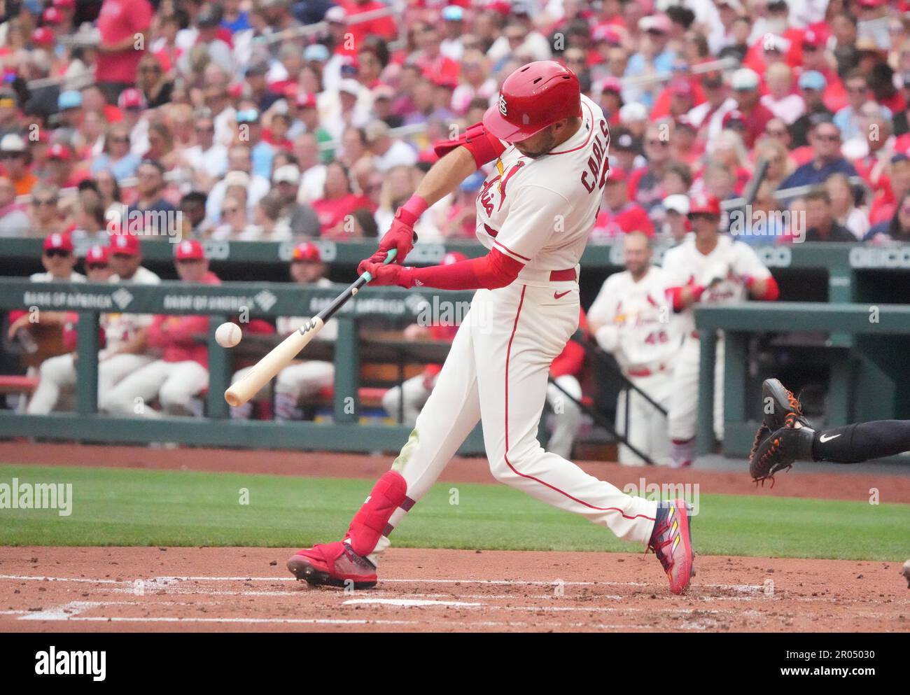 St. Louis, USA. 06th May, 2023. St. Louis Cardinals Dylan Carlson ...