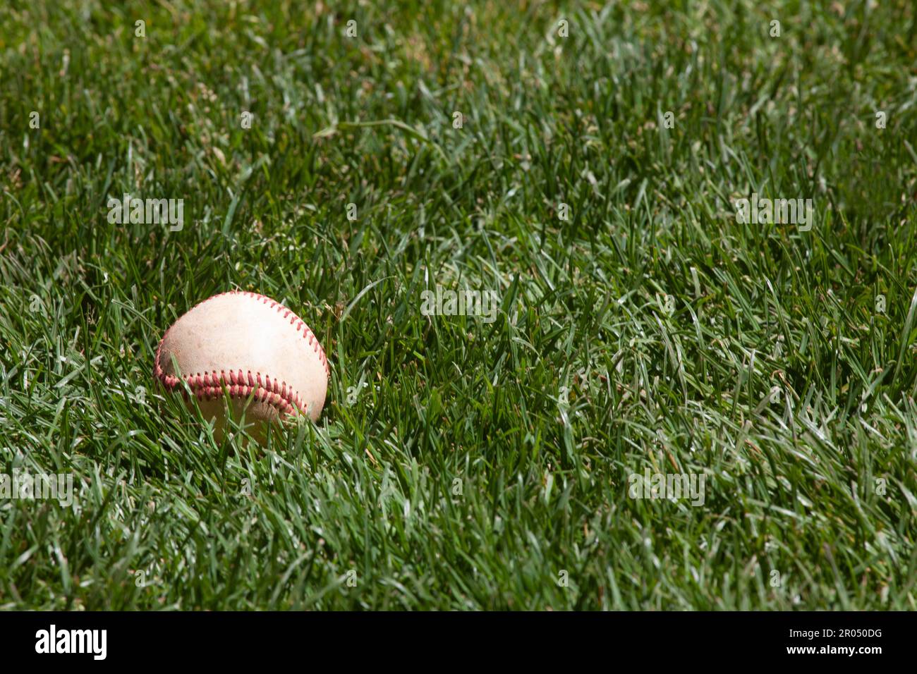 Baseball on green grass background Stock Photo - Alamy