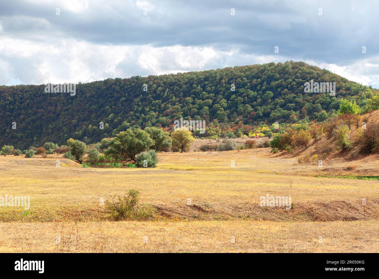 Summer nature with green hill . Dry grass meadow in summer Stock Photo ...