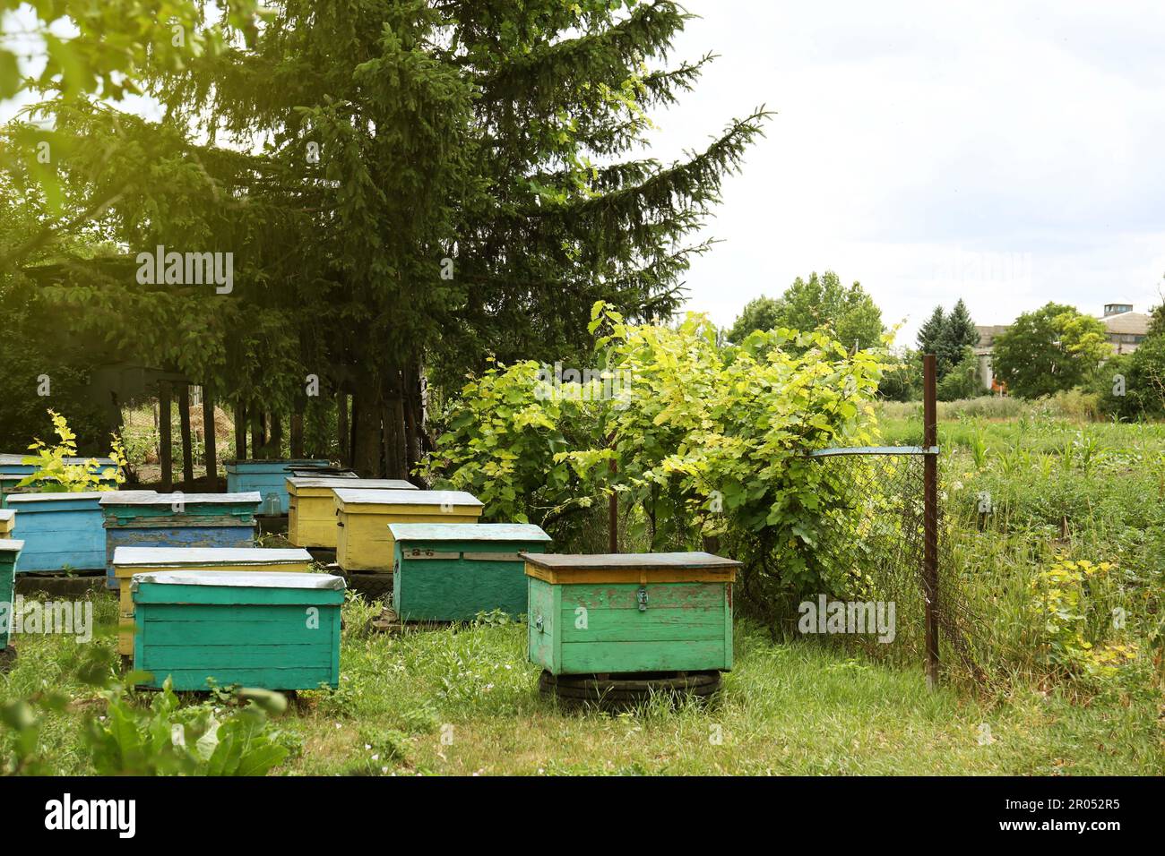 Different bee hives hi-res stock photography and images - Alamy
