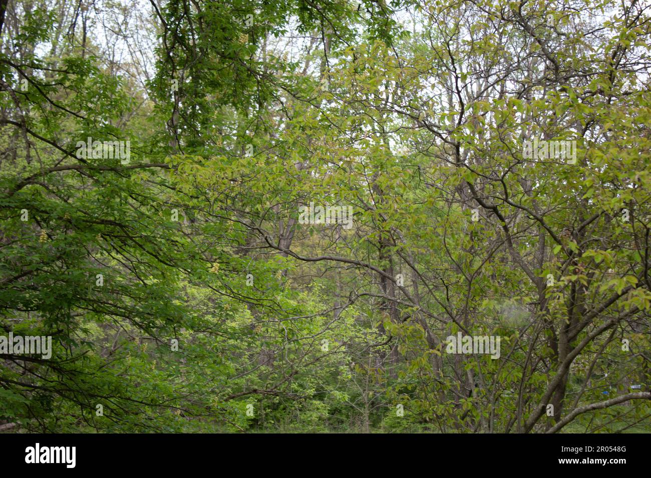 Scenic midwest park hi-res stock photography and images - Alamy