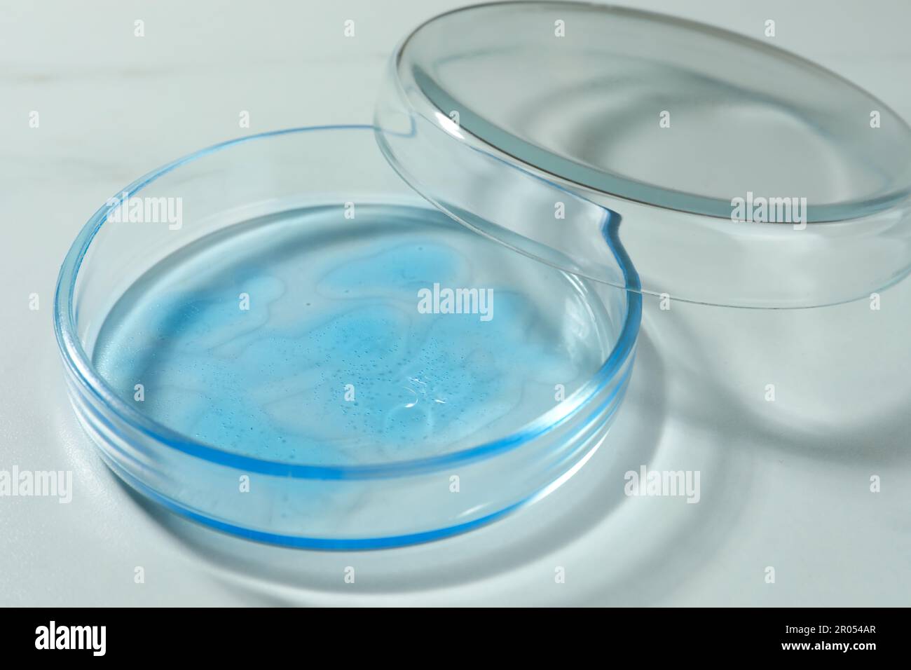 Petri dish with liquid and lid on white marble table, closeup Stock ...