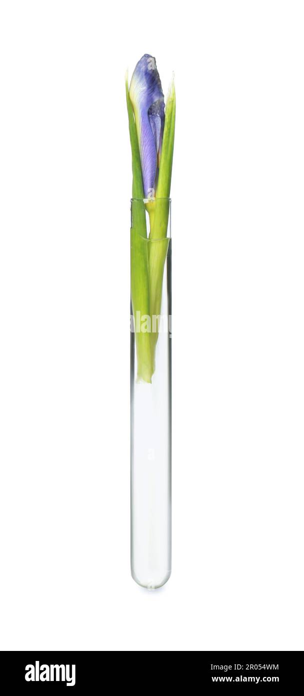 Iris research hi-res stock photography and images - Alamy