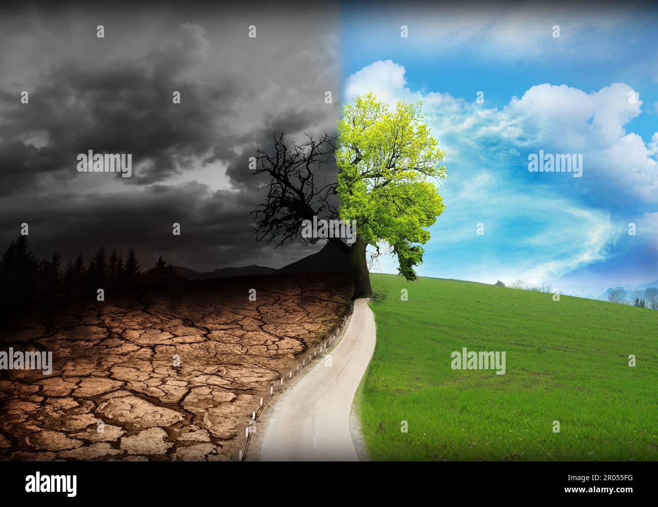 Half dead and alive tree outdoors. Conceptual photo depicting Earth ...