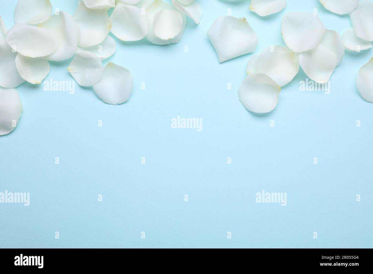 Pile blue rose petals hi-res stock photography and images - Alamy
