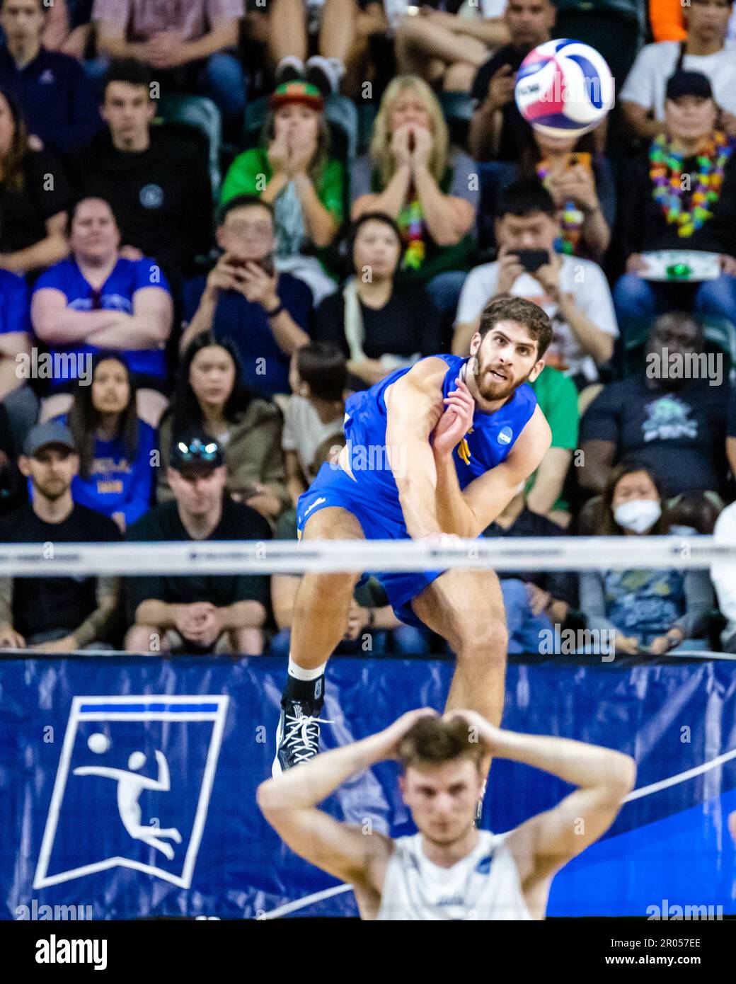 Hawaii rainbow warriors volleyball hi-res stock photography and images ...