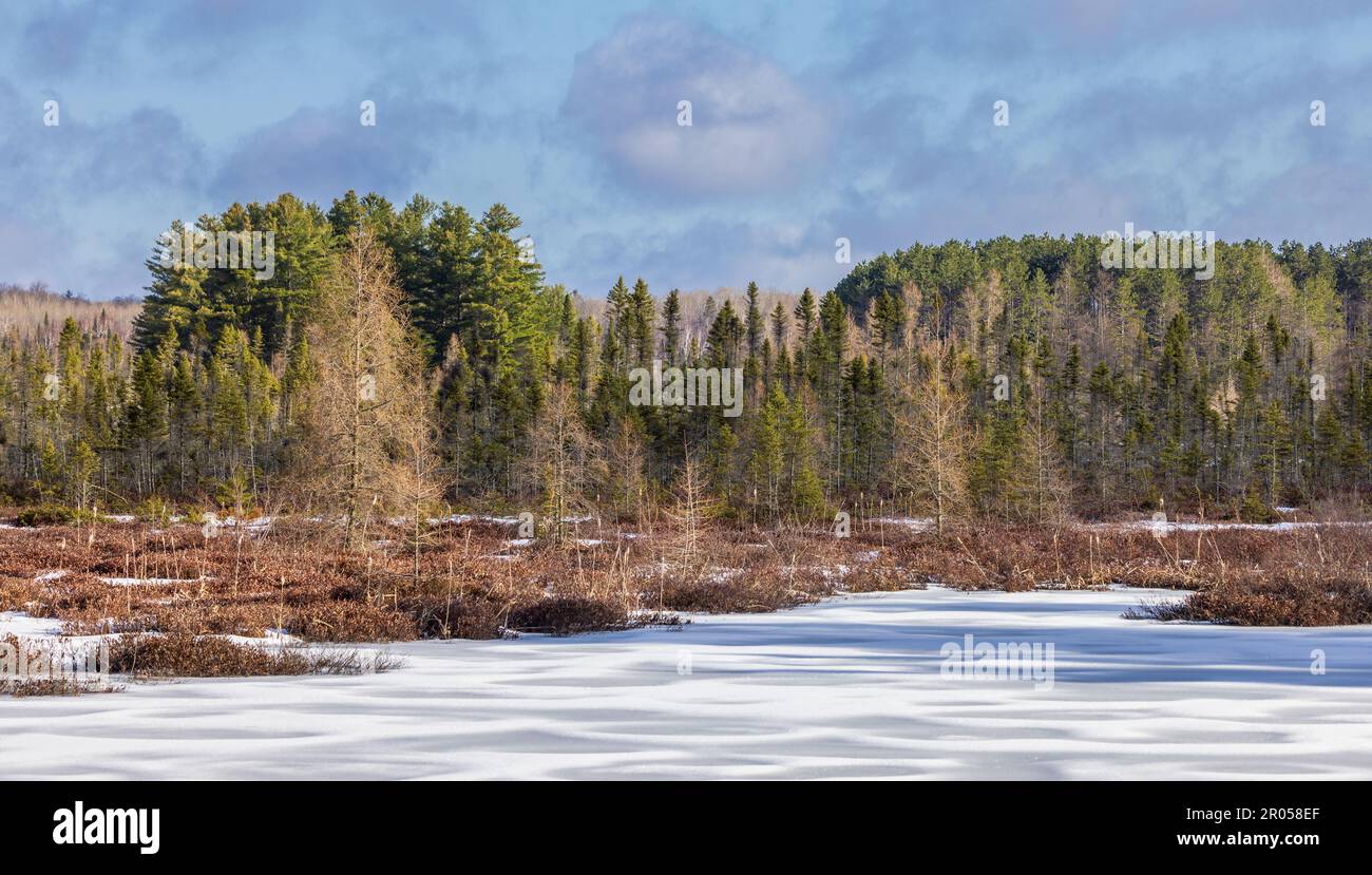Signs of spring on a wilderness lake in the Chequamegon National Forest ...